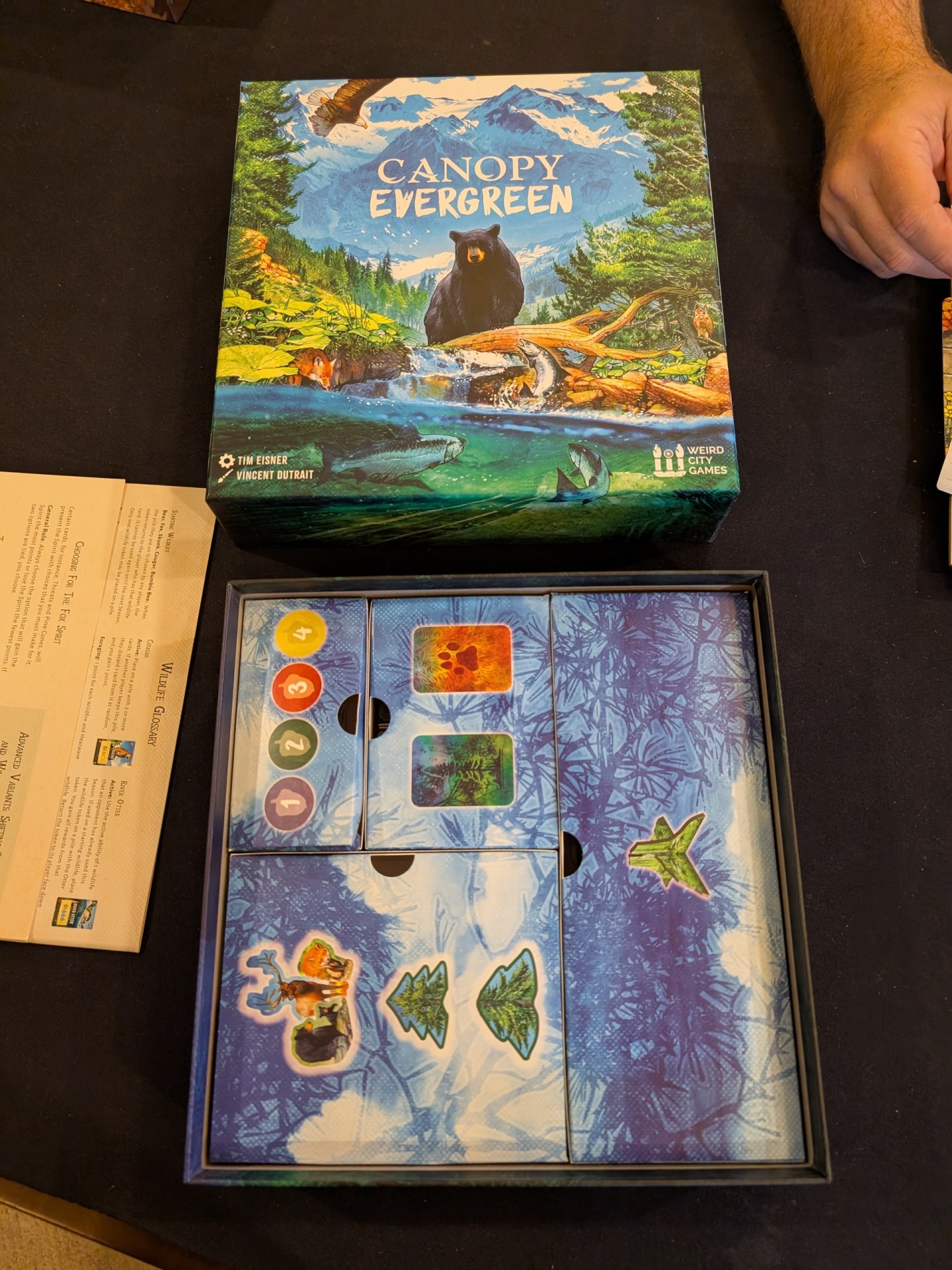 Dale Yu: Review of Canopy Evergreen | The Opinionated Gamers